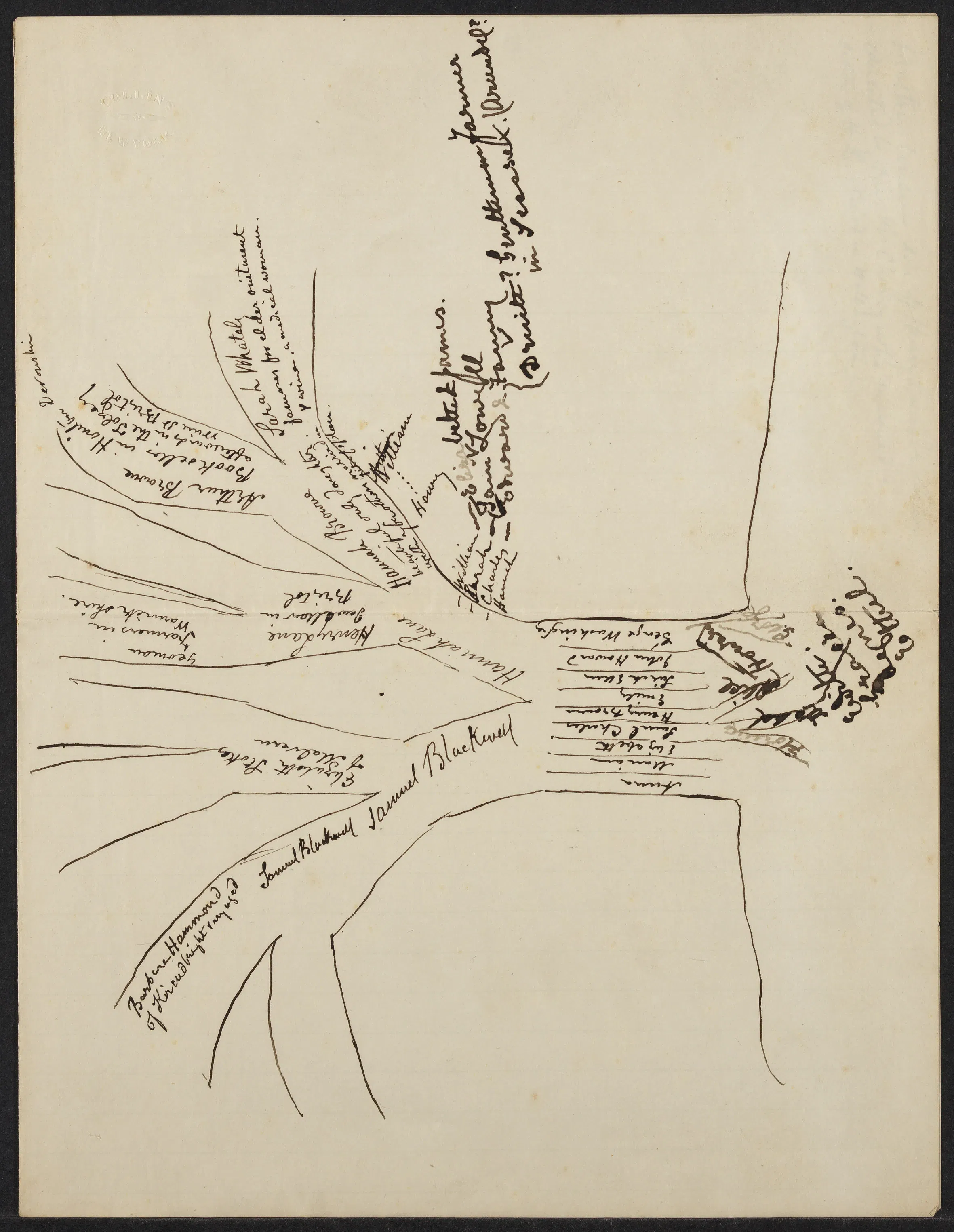 Women of the Blackwell Family: Resilience and Change | Radcliffe ...