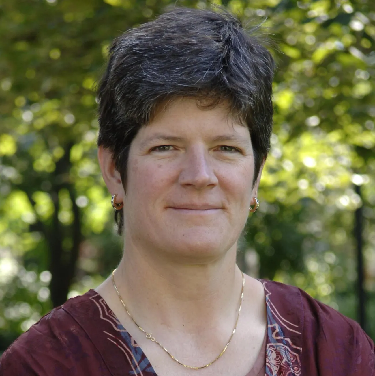 Elizabeth Bradley | Radcliffe Institute for Advanced Study at Harvard ...