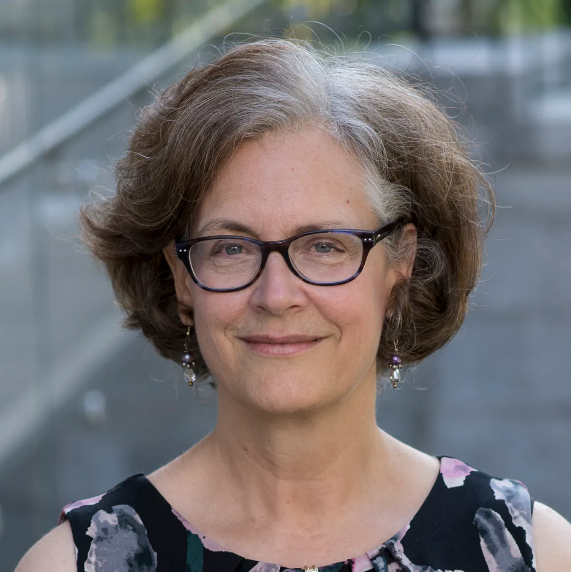Beth A. Simmons | Radcliffe Institute for Advanced Study at Harvard ...