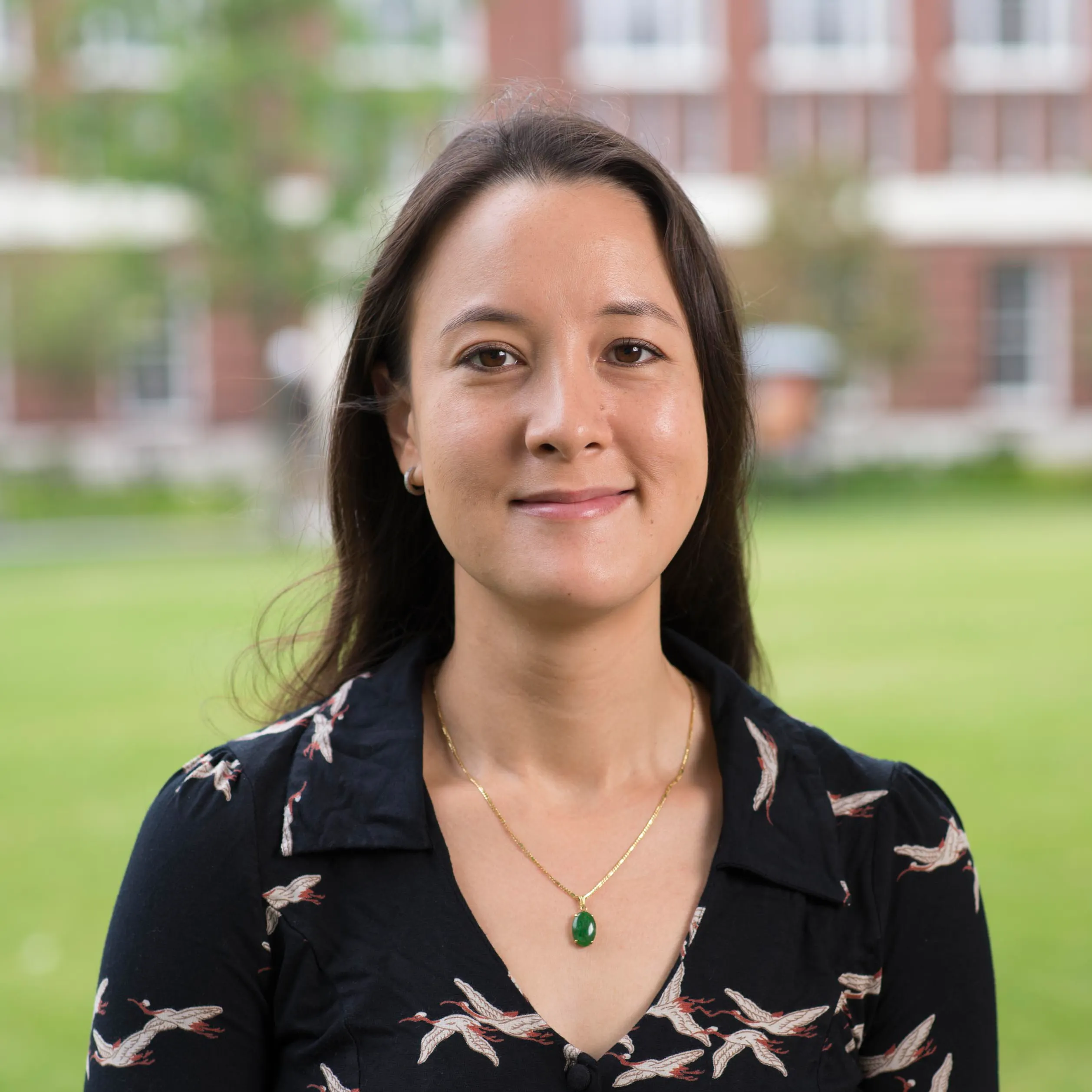 Sarah Howe | Radcliffe Institute for Advanced Study at Harvard University